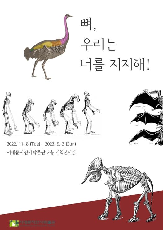 뼈, 우리는 너를 지지해! :: 플레이 토브! :: PLAY TOV